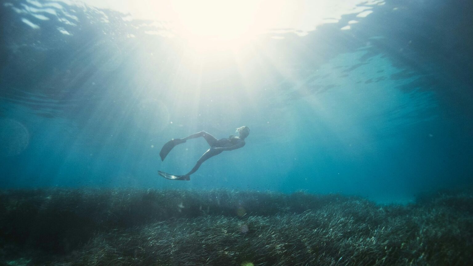 Immersive learning: The second ‘I’ of real learning - TrainingZone