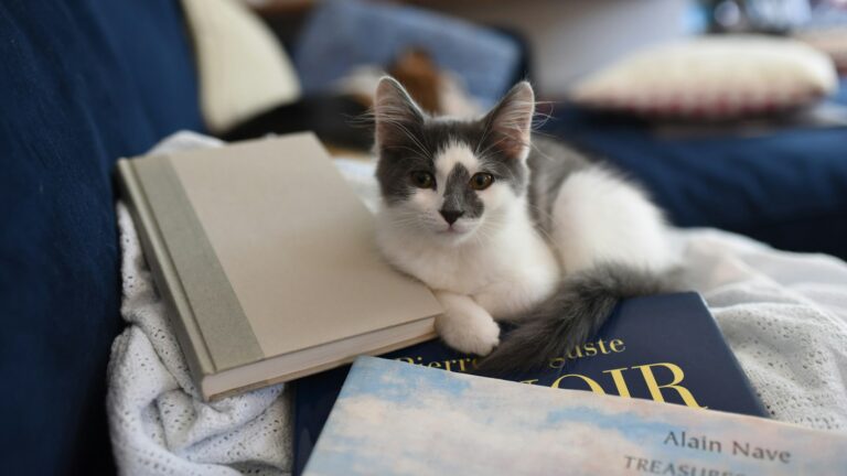 Skillgate.com online learning - TrainingZone