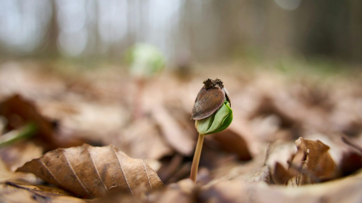 Completion isn't competence: Rethinking how we measure learning ...